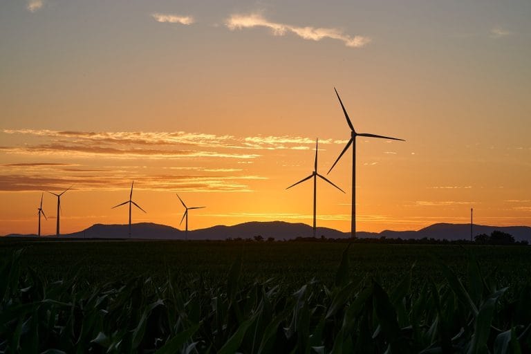 Nettopower – Få Grøn Energi til Lave Priser - Danske Supermarkeder